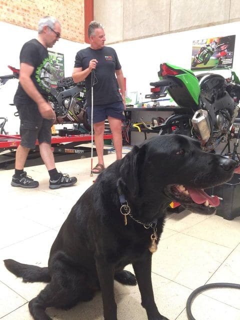 Ben Felten prepares to break his blind speed record - Australian ...